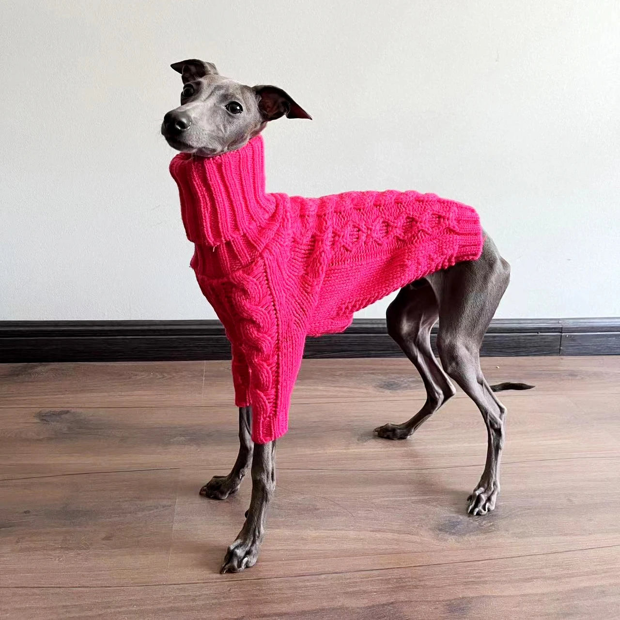 greyhound base layer